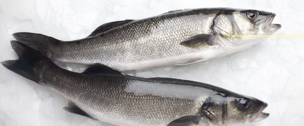 Bar / Loup - Aqualabel - Label Rouge for seafood products