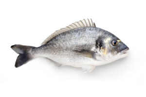 Daurade - Aqualabel - Label Rouge des produits de la mer